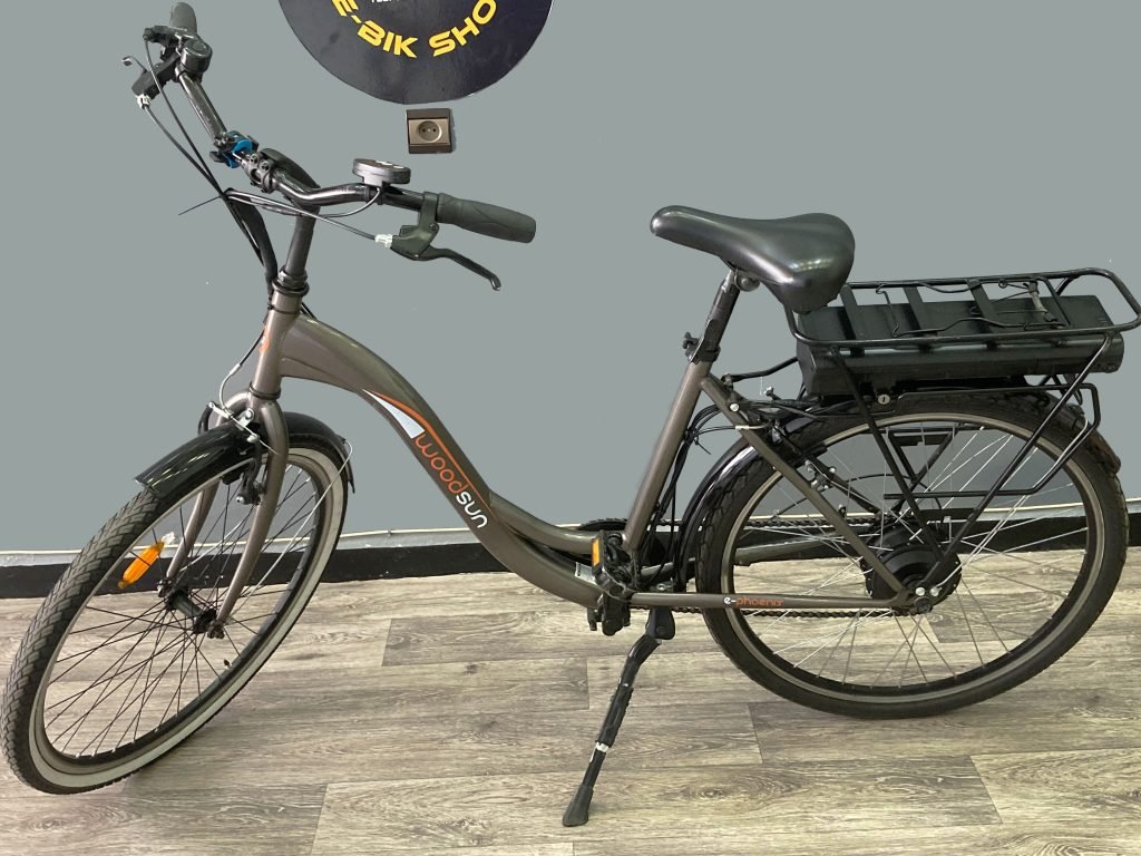 Vélo électrique E phoenix | Bike.ma 2026